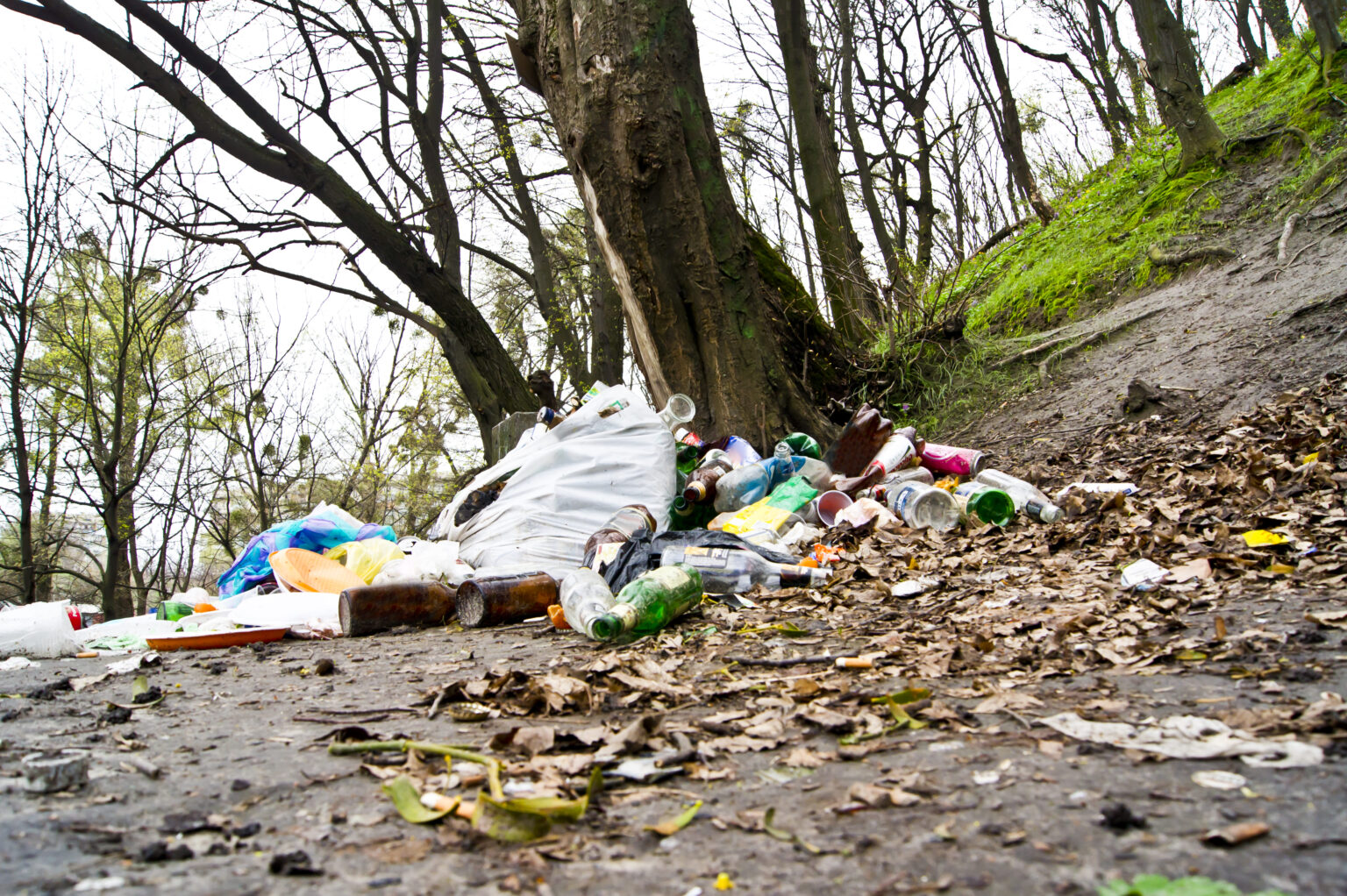 Littering an der Limmat und Sauberkeitsindexe – ftmedien.ch Nachhaltigkeit